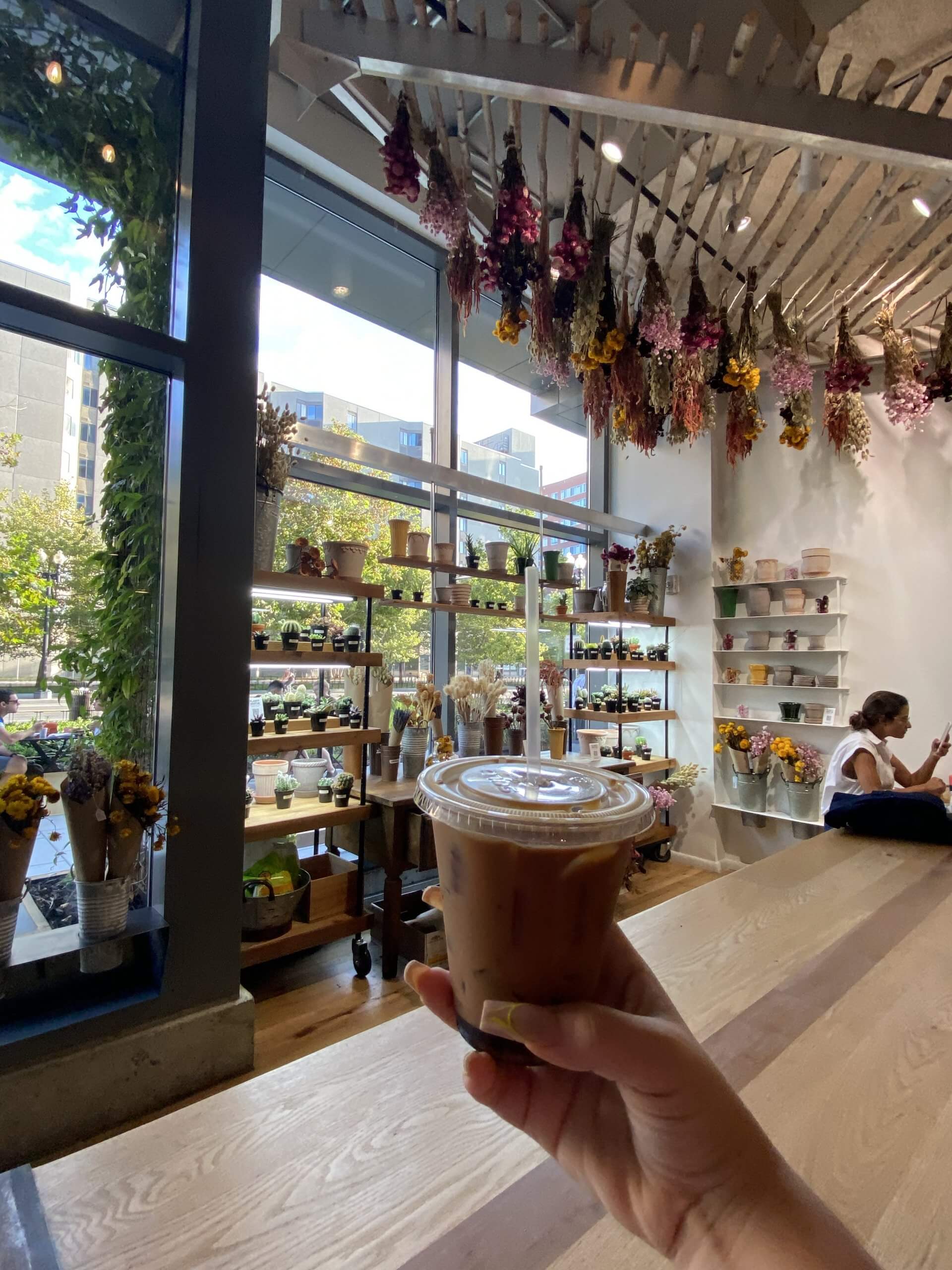 Rank of DC's top 15 Coffee Shops - Finding Francesca